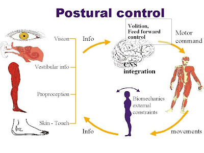 R´Equilibri_us - Gabinete de Serviços de Fisioterapia e Saúde ...